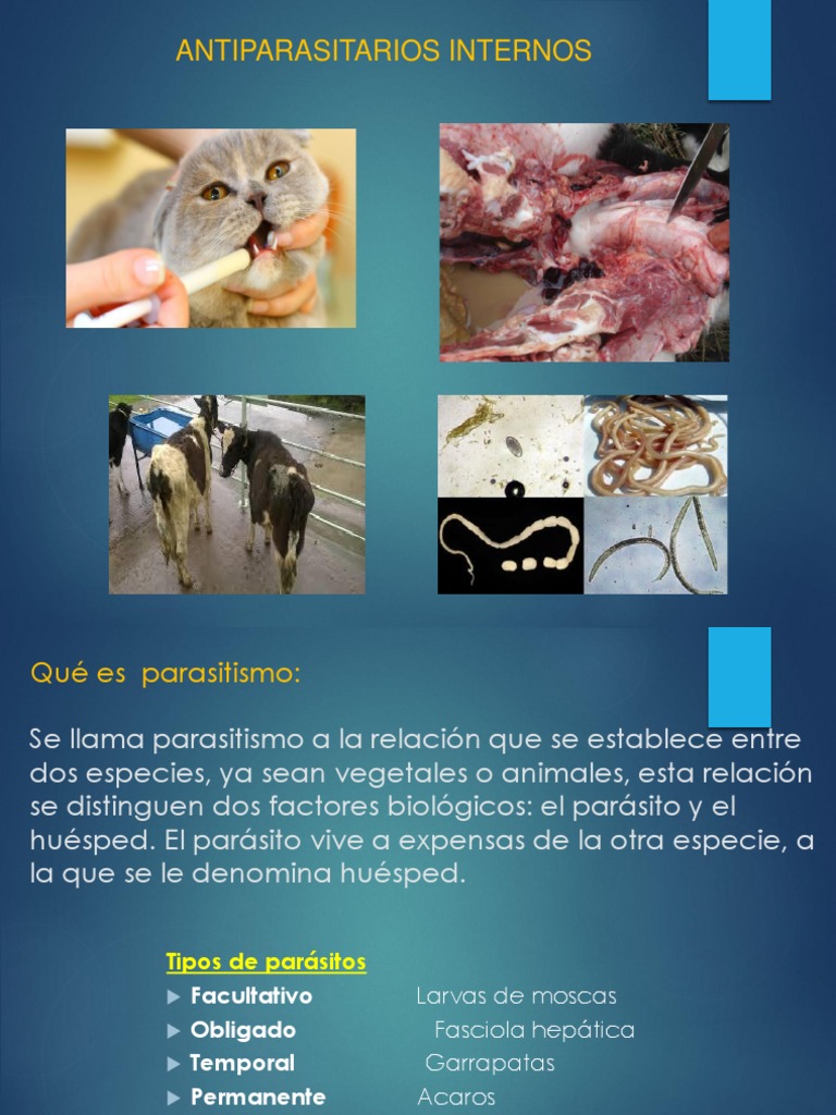 Antiparasitarios Internos | PDF | Farmacocinética | Química