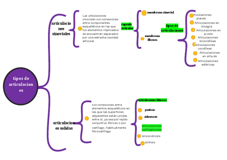 Cuadro Sinoptico 1 | PDF | Articulación | Sistema musculoesquelético