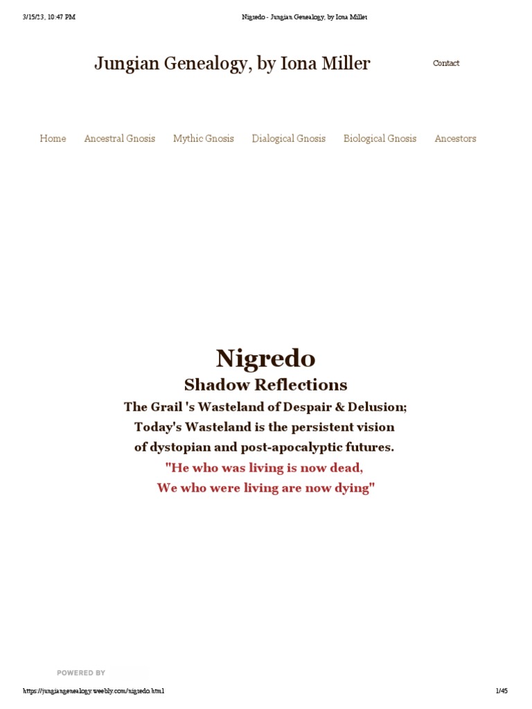 Nigredo - Jungian Genealogy, by Iona Miller | PDF | Libido | Carl Jung