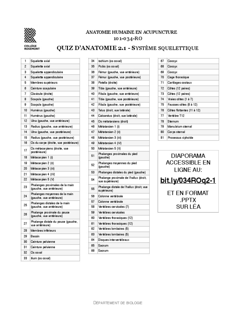 Quiz sur le Squelette Humain | PDF | Vertèbre | Appareil locomoteur