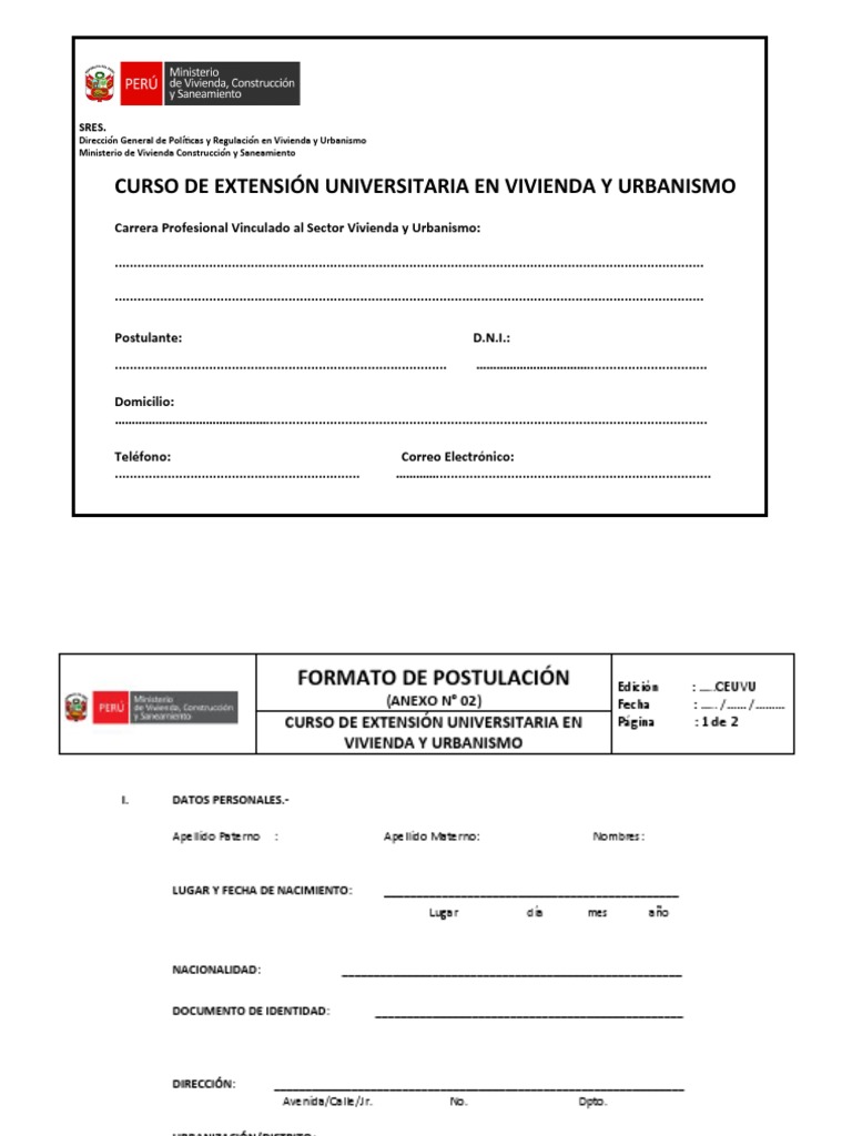 Anexo 02 - Formato de Postulación | PDF