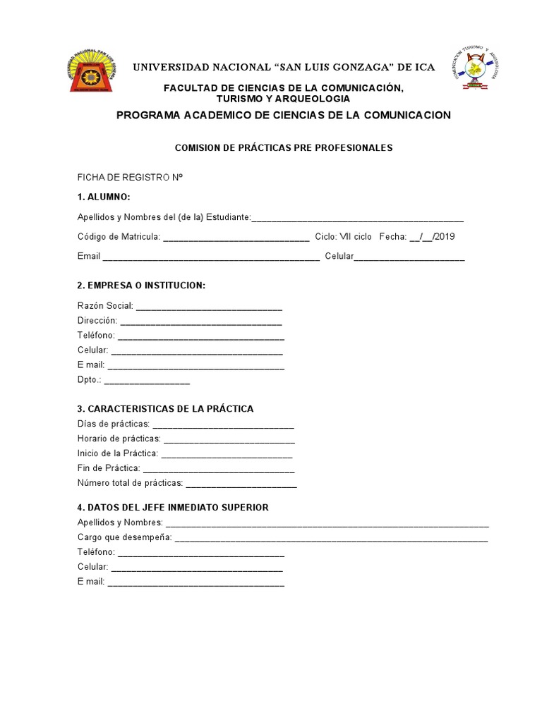 2019 Modelo de Informe de Practica Pre Profesional | PDF