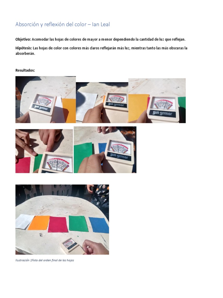 Reflejo de Luz en Hojas de Colores | PDF | Arte