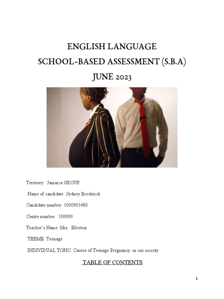 Sydney SBA | PDF | Adolescence | Teenage Pregnancy