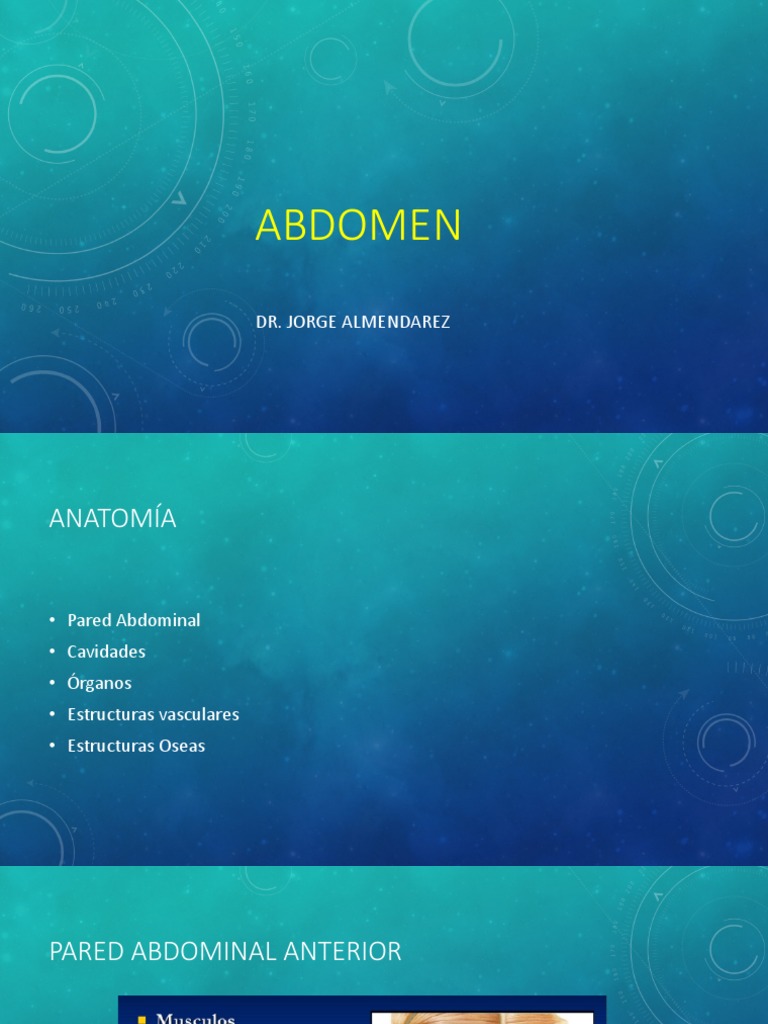 Abdomen 1 PDF | PDF