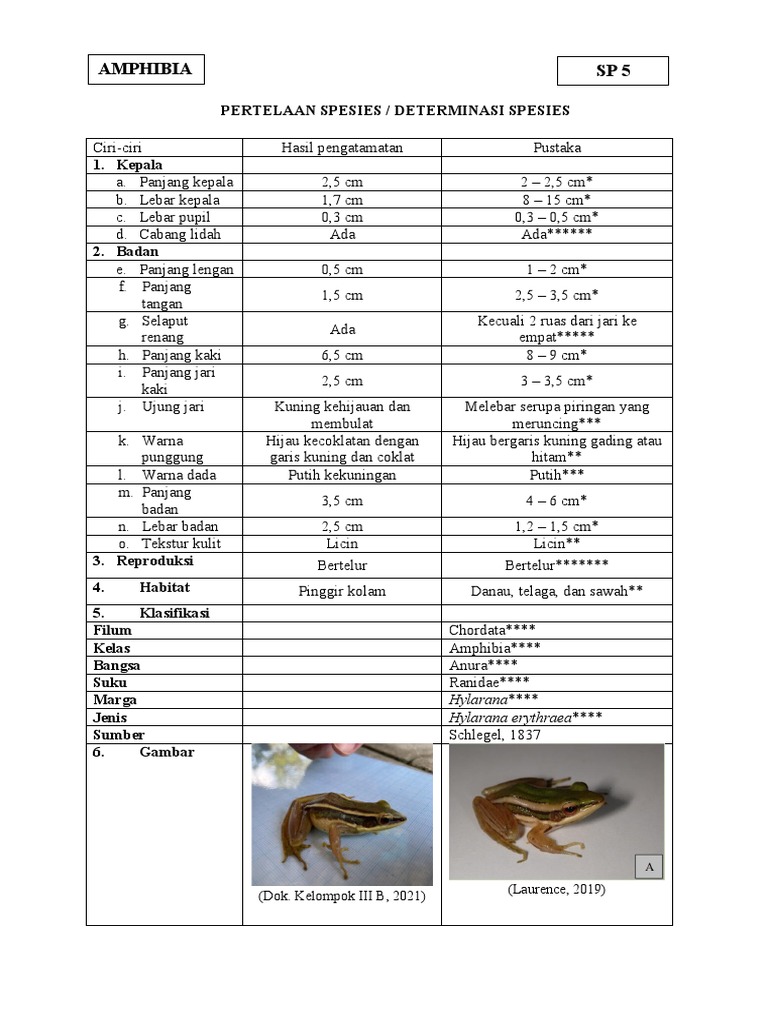 Pertelaan Katak Sp. 5 | PDF
