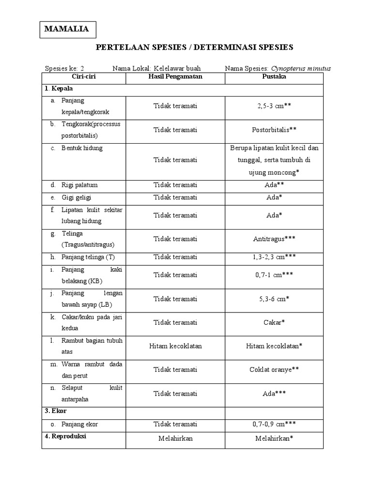 Pertelaan Mamalia (kelelawar) | PDF