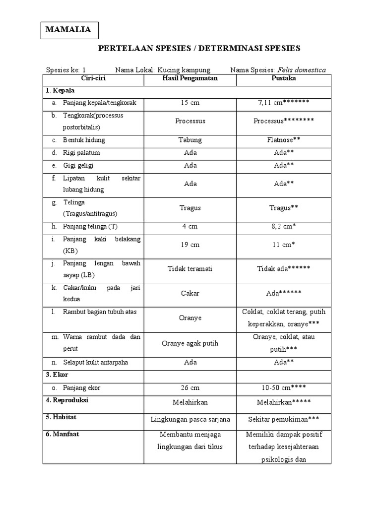 Pertelaan Mamalia (Kucing Oren) | PDF
