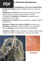 Cours 2-La Paroi Pectocellulosique PDF | PDF | Paroi cellulaire | Lignine
