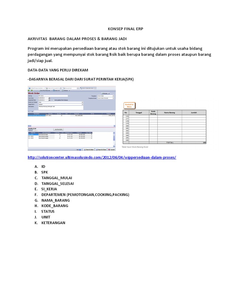 Konsep Final Erp | PDF