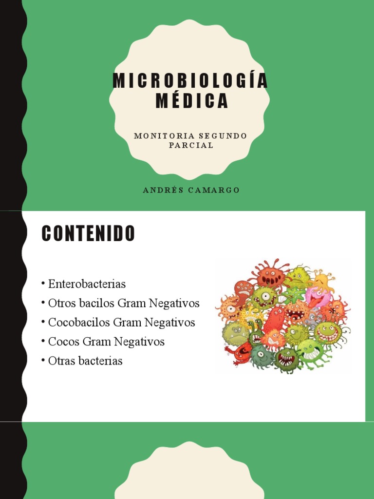 Microbiología Modulo 2 | PDF | Escherichia coli | Salmonela