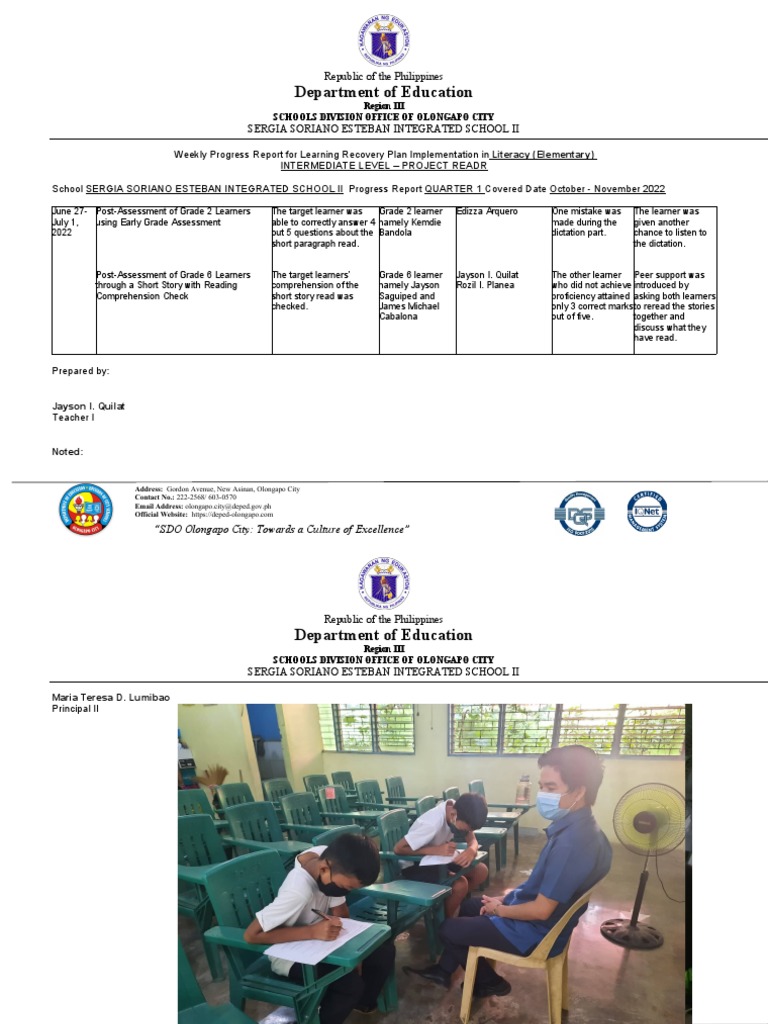 Literacy Progress Report: Elem. | PDF | Cognitive Science | Communication