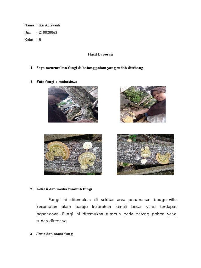 TPLP Praktikum Mandiri - Ika Apriyanti - E10020063 | PDF | Griya & Taman | Sains & Matematika
