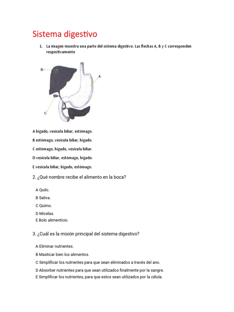 Guia Biologia 2 Prueba 8vo | PDF | Digestión | Sistema digestivo humano Guia Biologia 2 Prueba 8vo | PDF | Digestión | Sistema digestivo humano