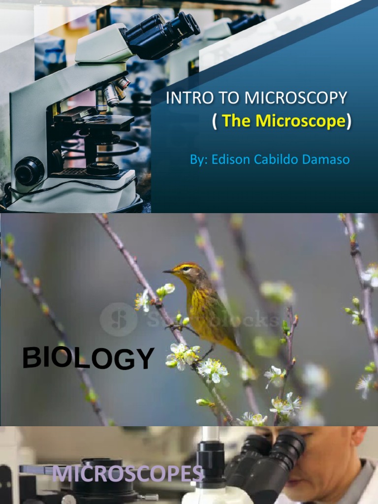 Intro to Microscopy: Understanding the Parts and Functions | PDF ...