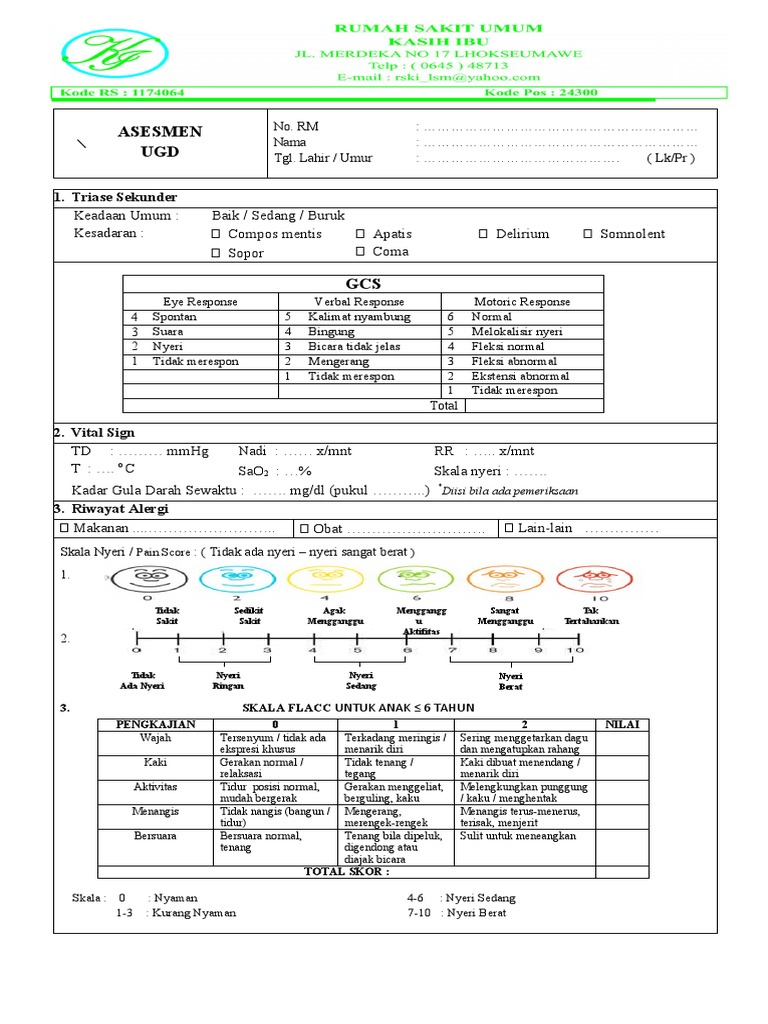 RM 010-Ii-2017-Rev Asesmen Ugd | PDF