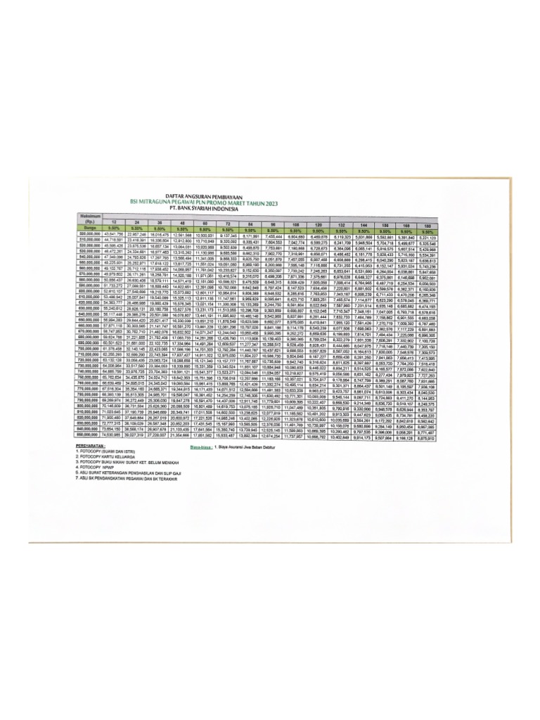 Brosur PLN Special Maret PDF | PDF