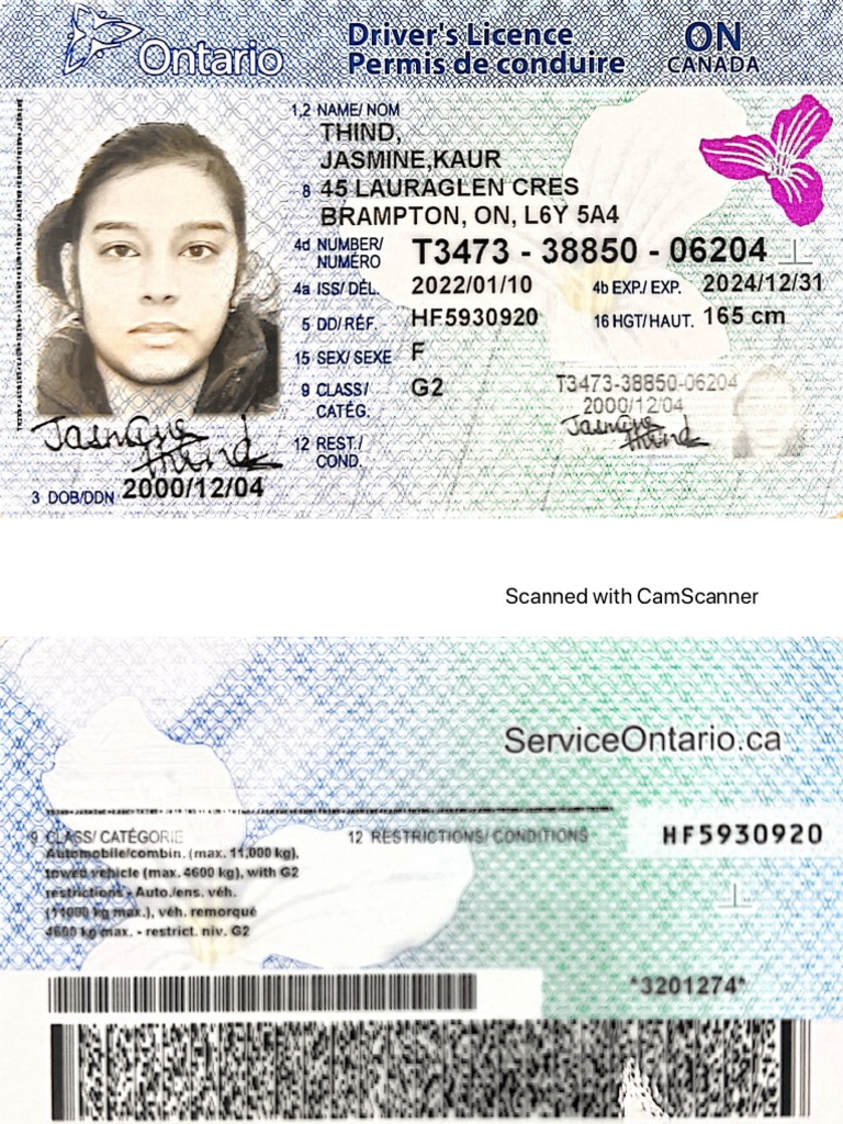 Driving License Jasmine PDF | PDF Driving License Jasmine PDF | PDF