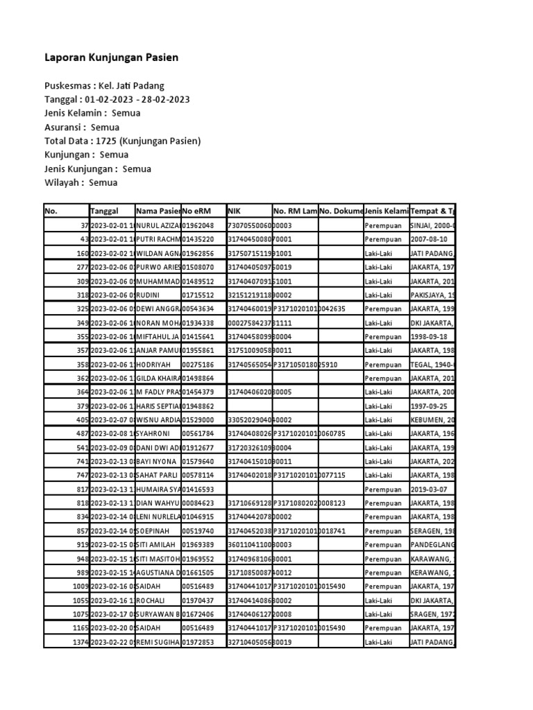 Laporan Kunjungan Pasien | PDF