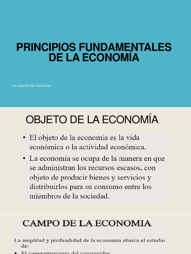Principios Fundamentales de La Economía PDF | PDF | Ciencias económicas | Inflación