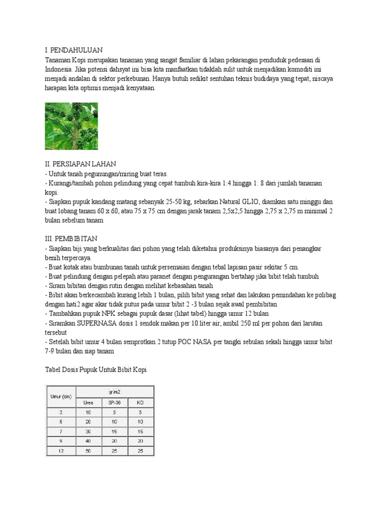 Budidaya KOpi | PDF