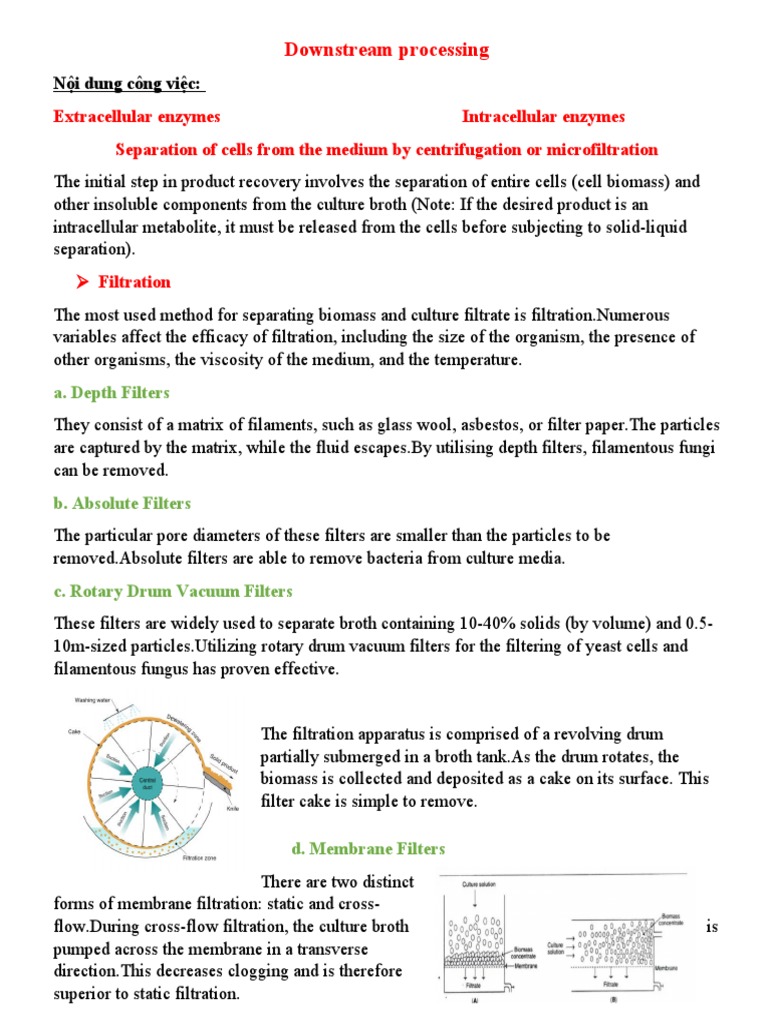 Downstream Processing | PDF | Filtration | Centrifuge