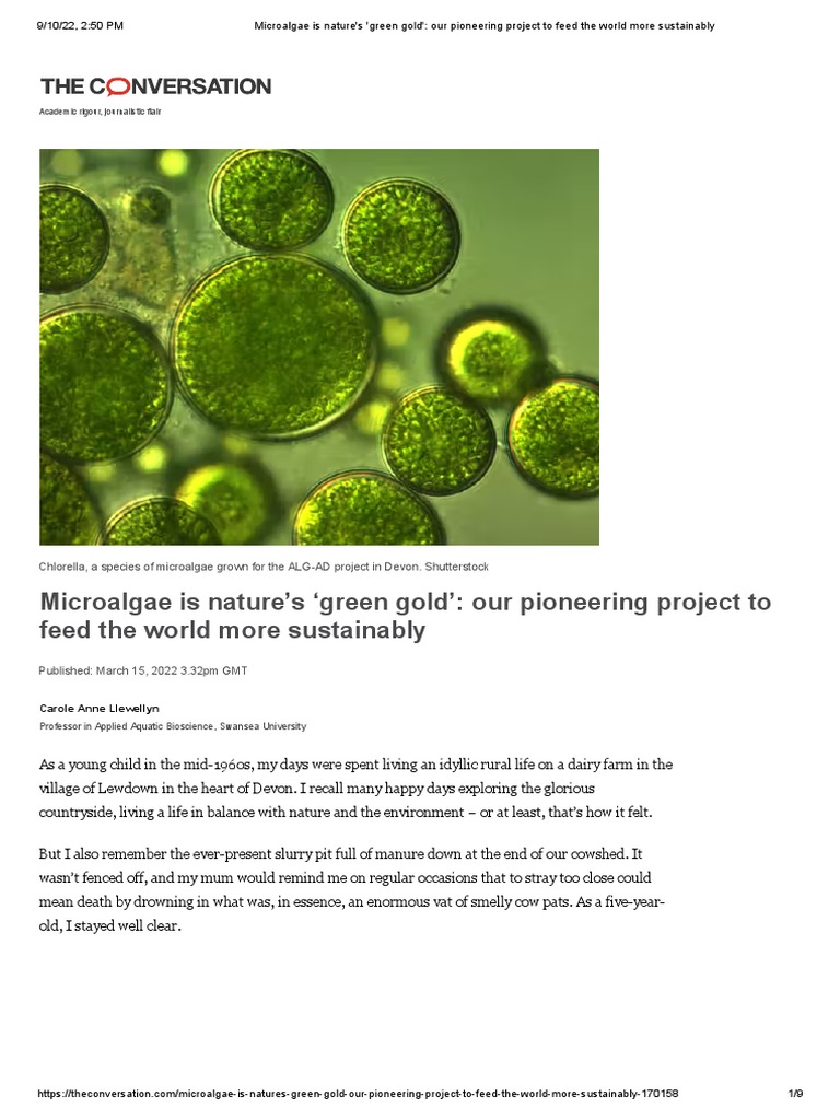 Microalgae is Nature's 'Green Gold': Our Pioneering Project to Feed the World More Sustainably ...