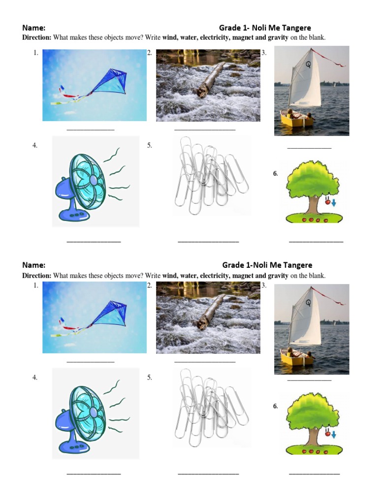 Assignment Grade 1 Force Pdf