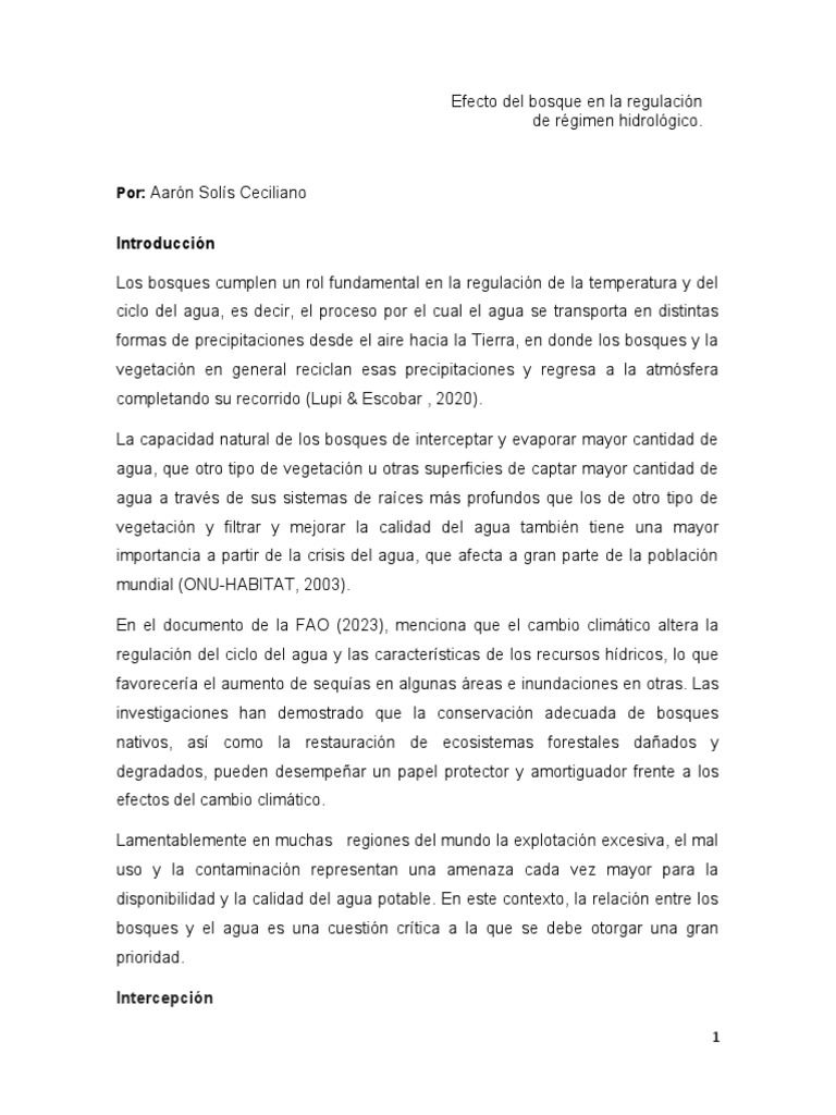 Ensayo 2 - Aaron - Solis | PDF | Agua | Los bosques