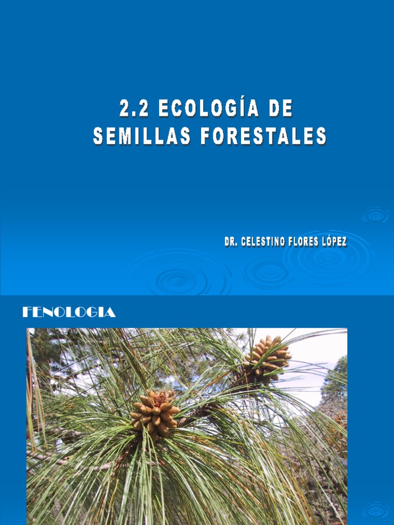 2.2 Ecologia de Semillas | PDF | Semilla | Germinación