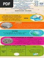 Alteraciones Morfológicas de Los Eritrocitos | PDF | Medicina CLINICA ...