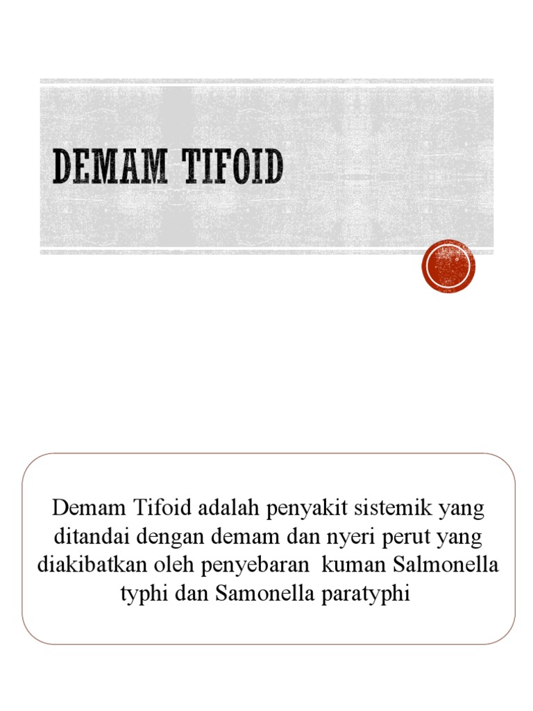 MK Patofisiologi Demam Tifoid | PDF