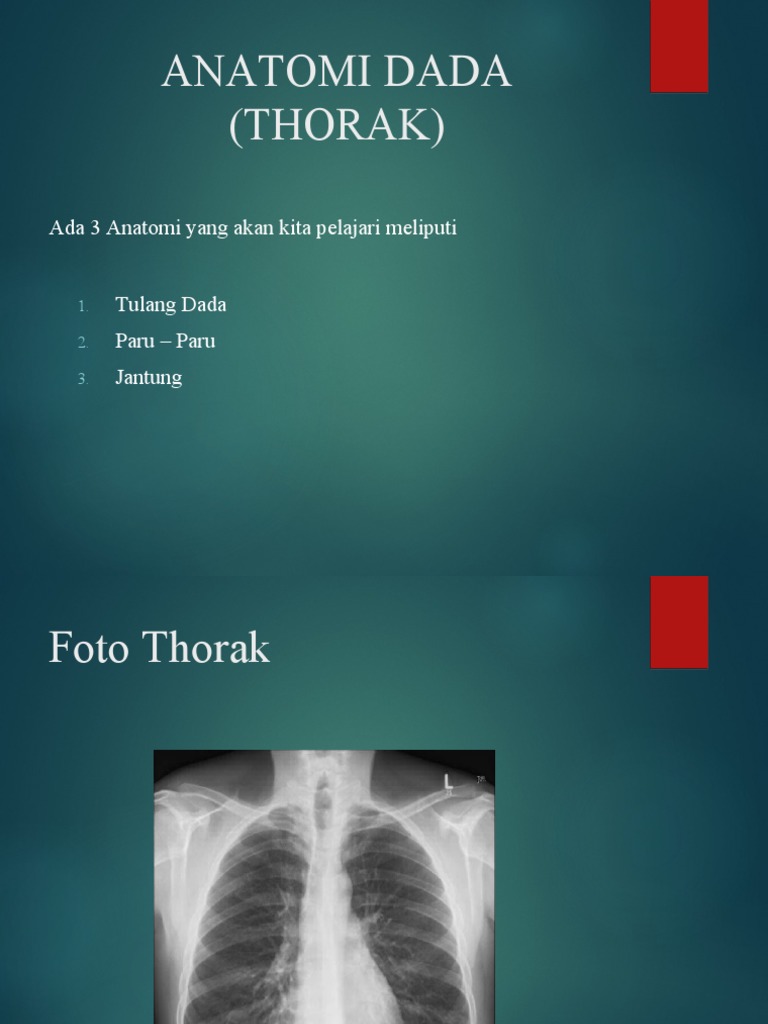 Struktur dan Fungsi Anatomi Dada | PDF