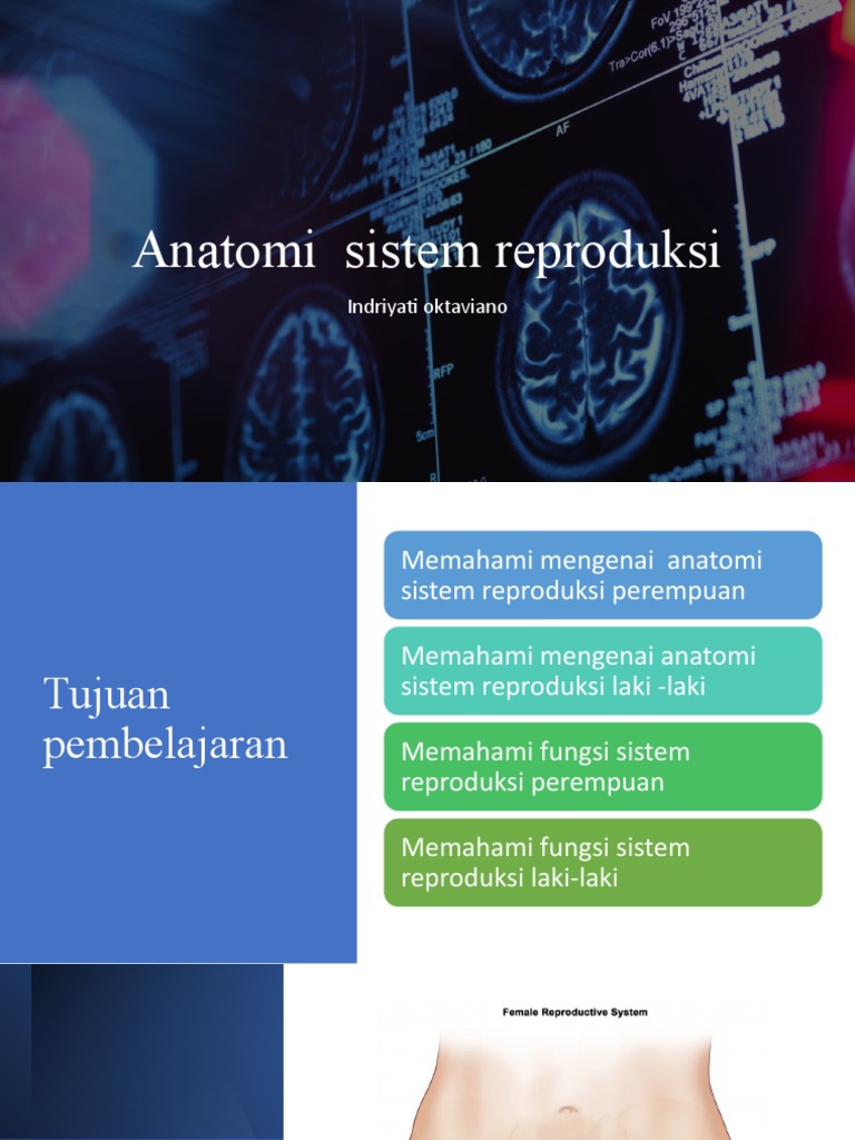 Anatomi dan Fungsi Sistem Reproduksi | PDF
