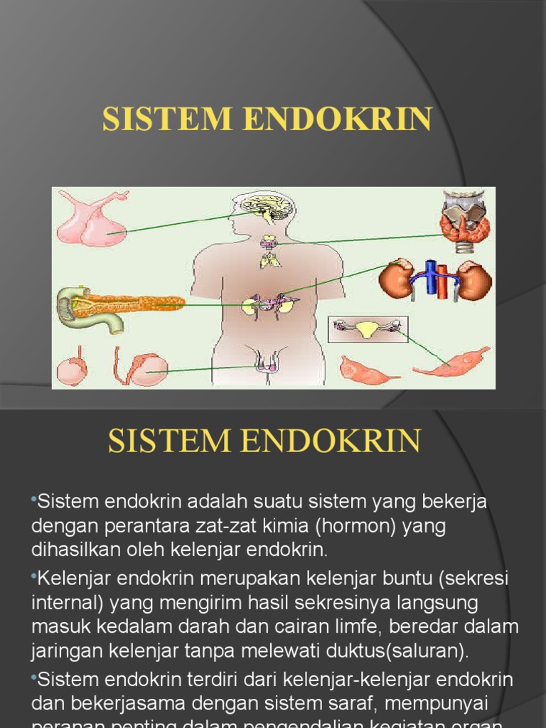 ANATOMI_SISTEM_ENDOKRIN_PPT | PDF