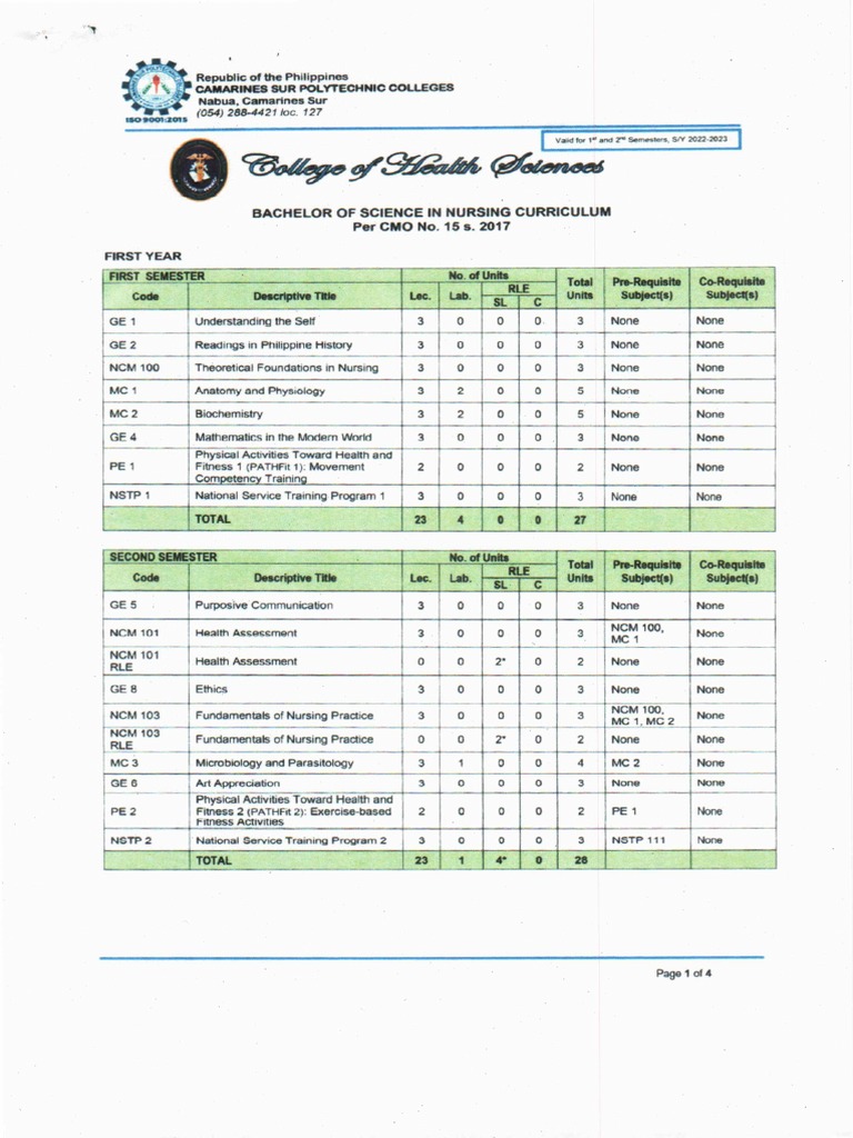 2022-11-04 - BSN Curriculum | PDF