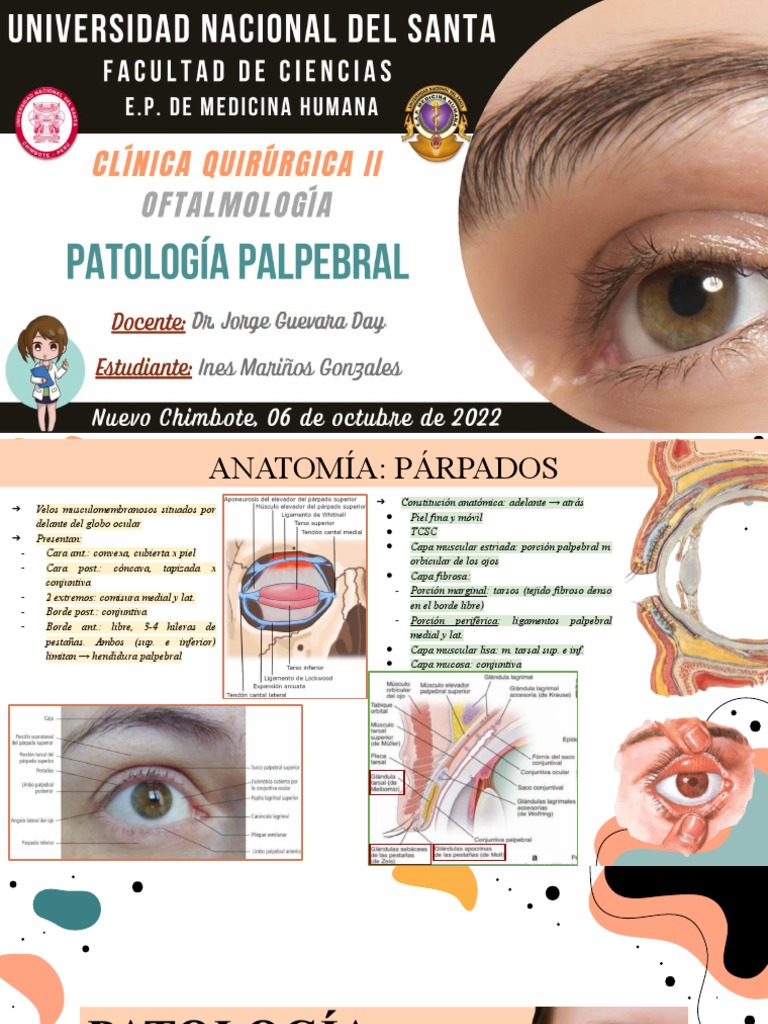 Patología Palpebral | PDF | Causas de la muerte | Ojo humano