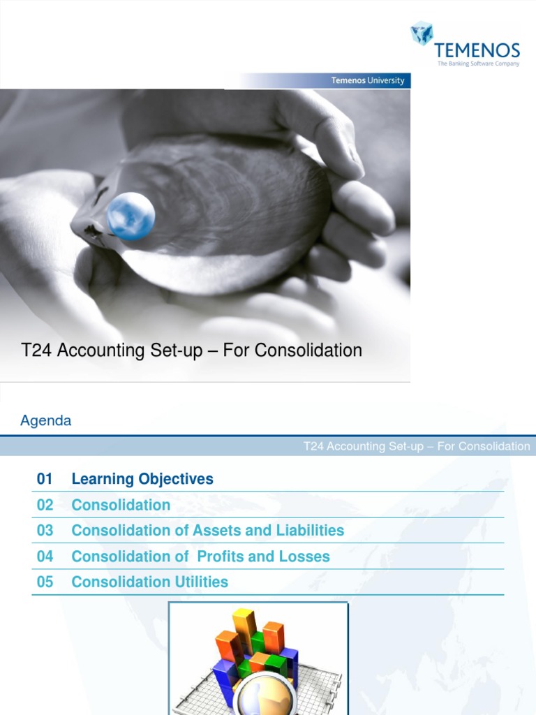 T24 Accounting Set-Up - For Consolidation - R15 | PDF | Debits And Credits | Corporations