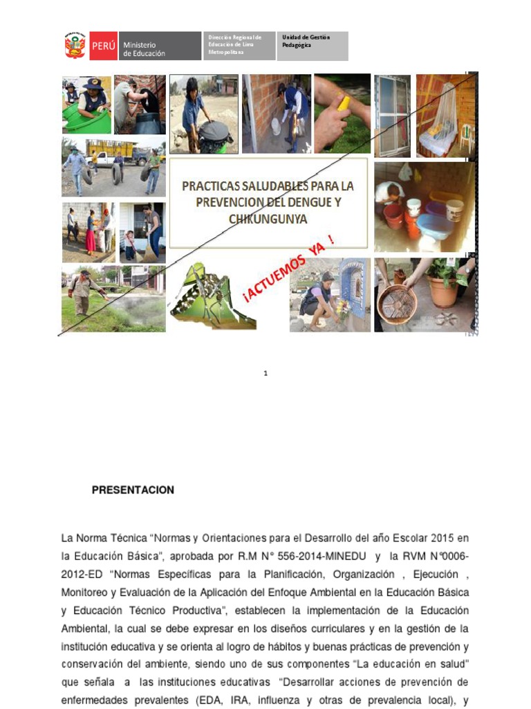 Mural Creativo sobre Prevención del Dengue | PDF | Enfermedades y ...