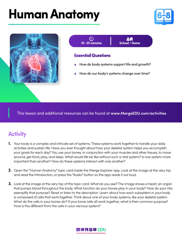 Human Anatomy 6 8 Pdf Human Body Bone