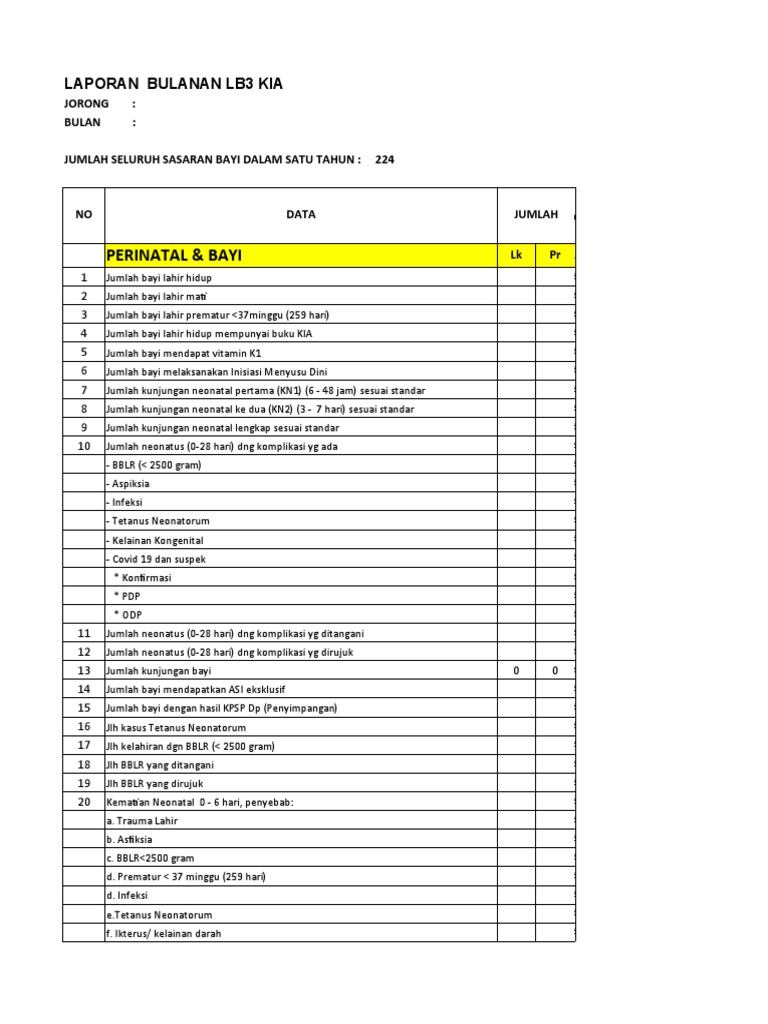 Format Revisi Laporan LB3 Anak 2023 | PDF