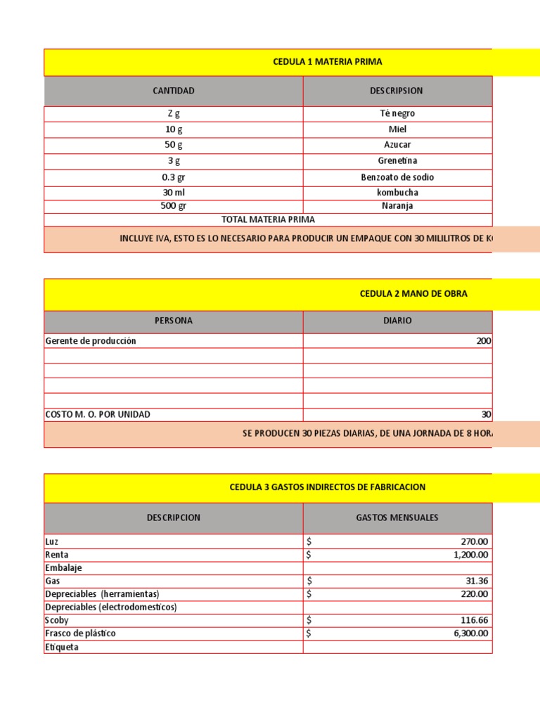 Cedulas Del Costo para Sacar El Precio Del Producto de Proyecto Ejemplo ...