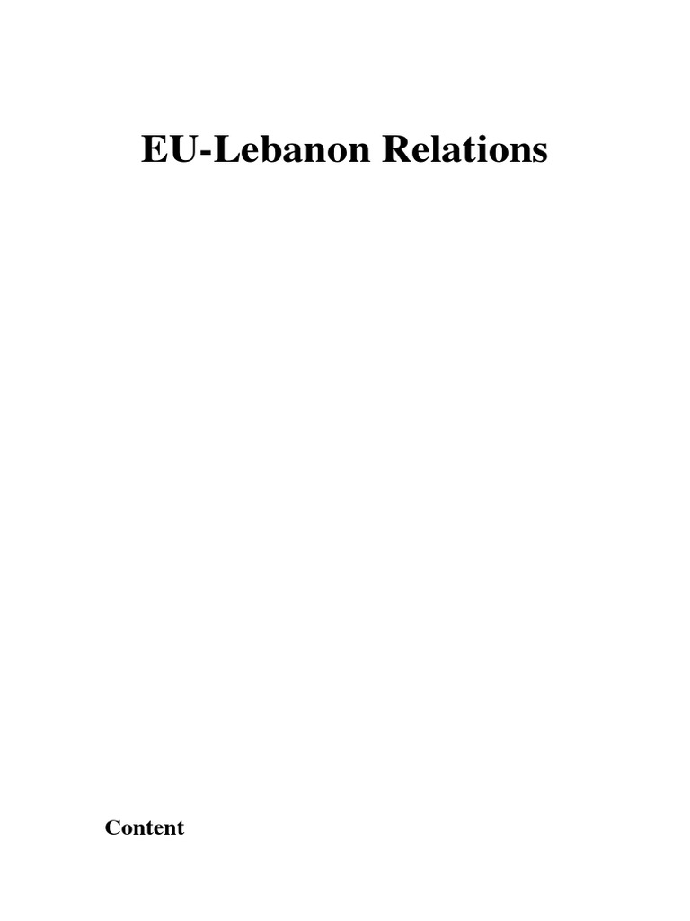 EU Lebanon Relations PDF | PDF | Governance | European Union