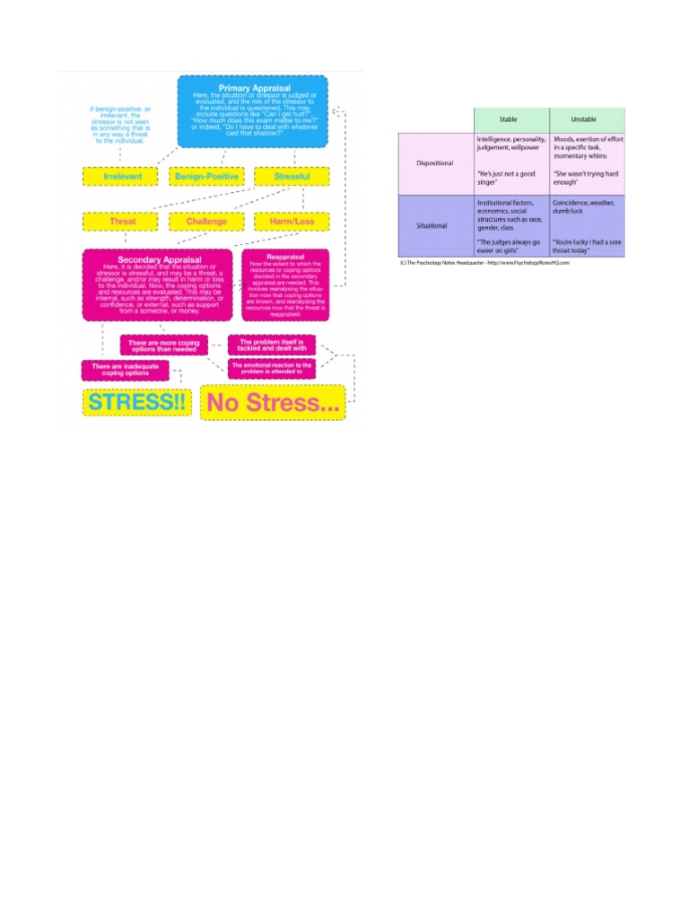 Flow Chart Pathology | PDF