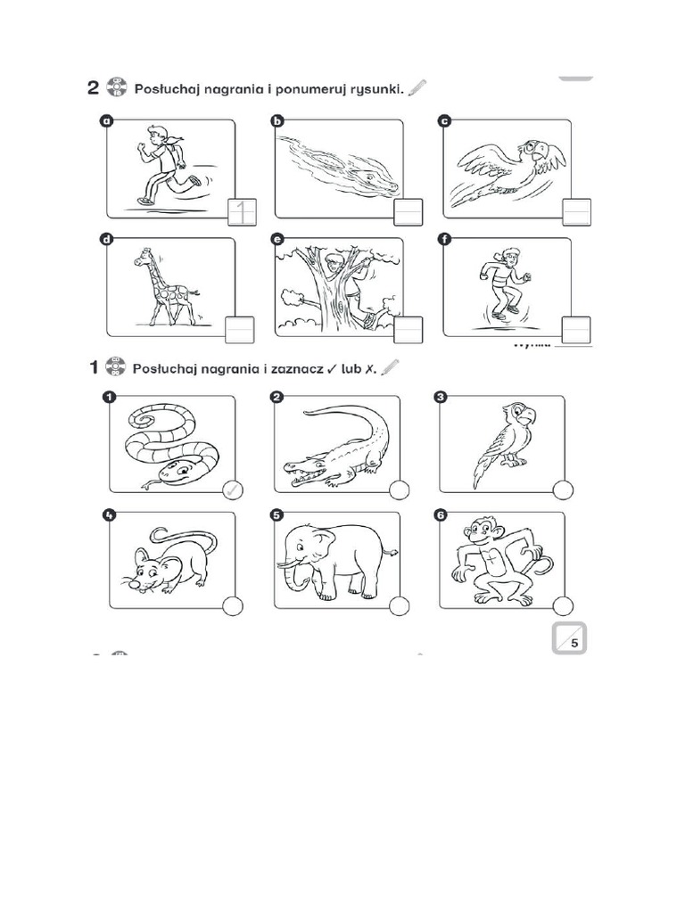 Tiger 1 Unit 4 | PDF