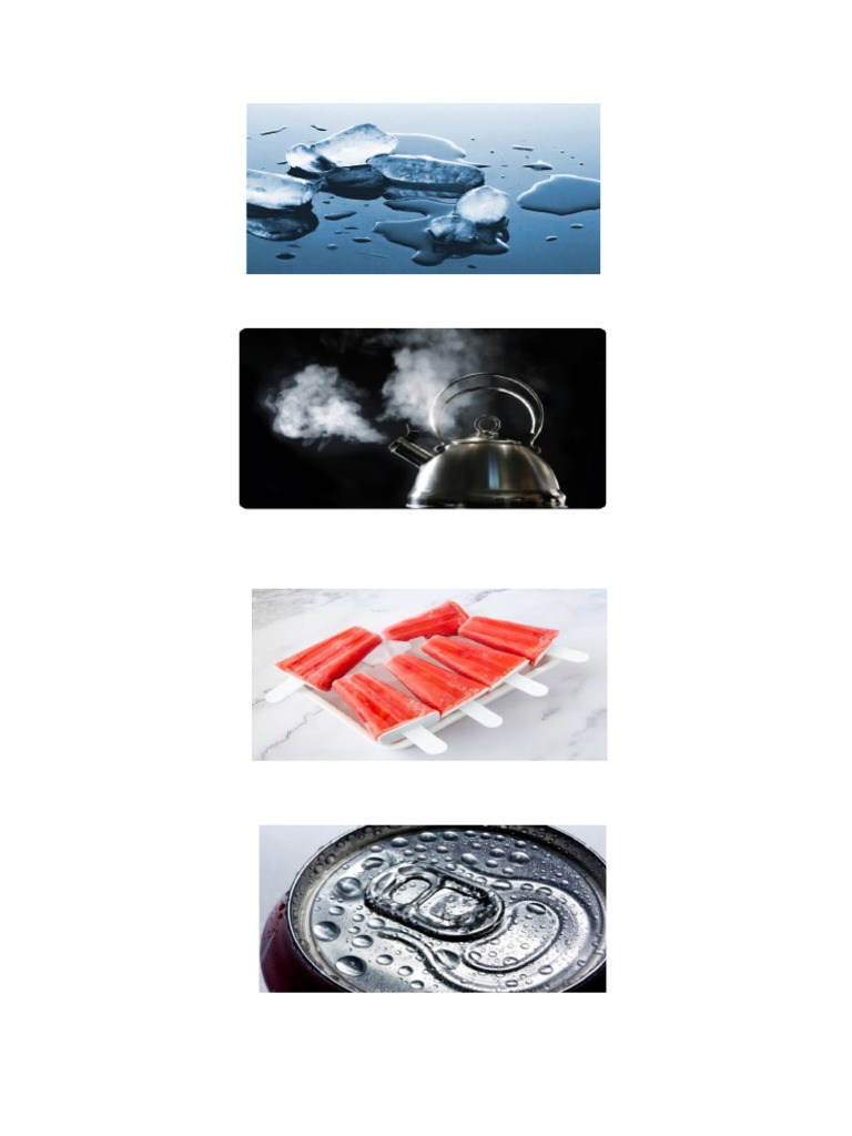 Science Matter | PDF