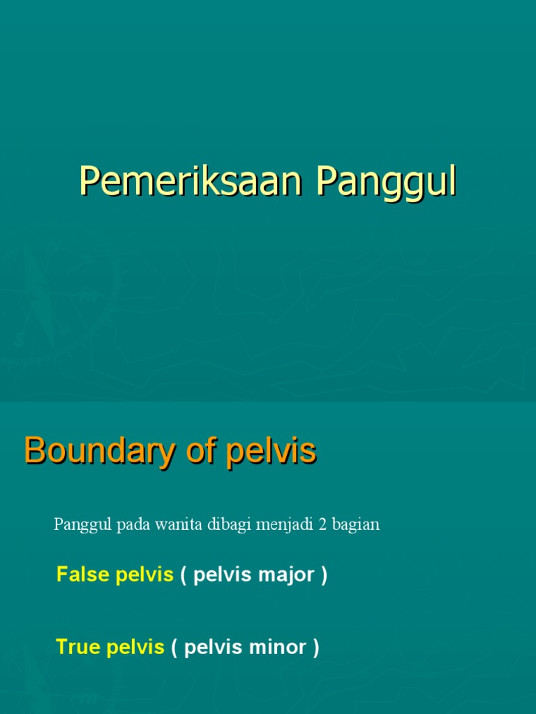 Pemeriksaan Panggul | PDF