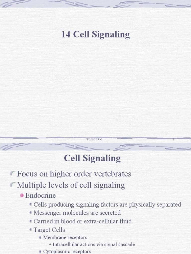 Signalling | PDF | Cell Signaling | Kinase