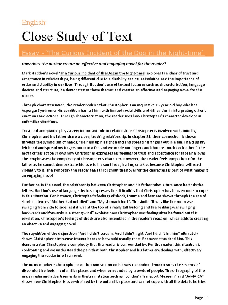 English Standard Resources - Essay - The Curious Incident of The Dog in ...