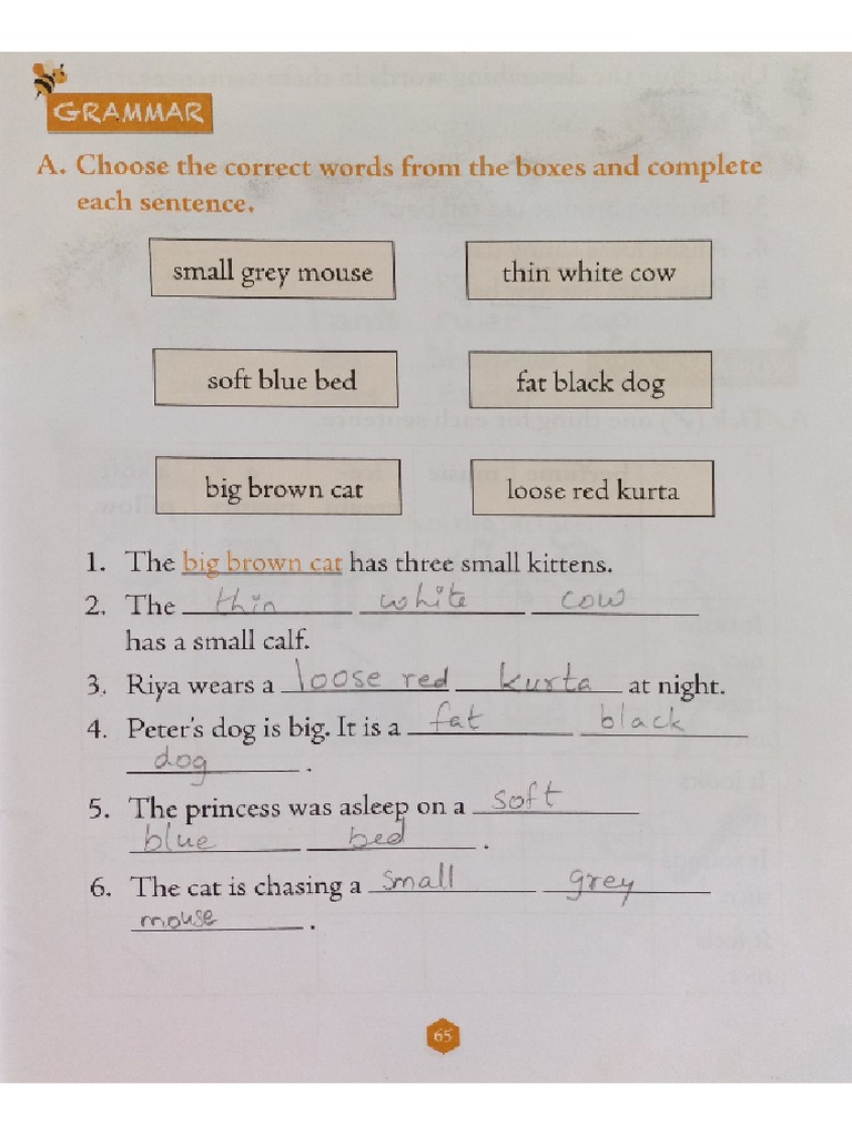 Adjectives Workbook Work | PDF